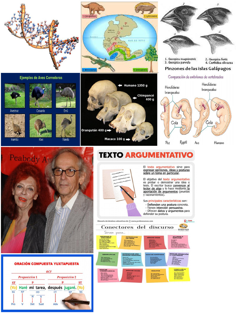 La Carta Del Lector | PDF