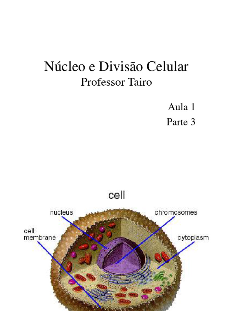 Aula 1 Parte 3 Nucleo e Divisão Celular | PDF | Mitose | Cromossomo