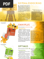 Fortac: Suplemento para mayores de 40 | PDF | Vitamina D | Nutrientes