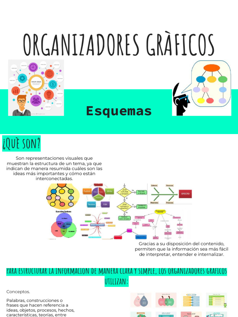Tipos de Organizadores Gráficos | PDF | Cognición | Ciencia cognitiva