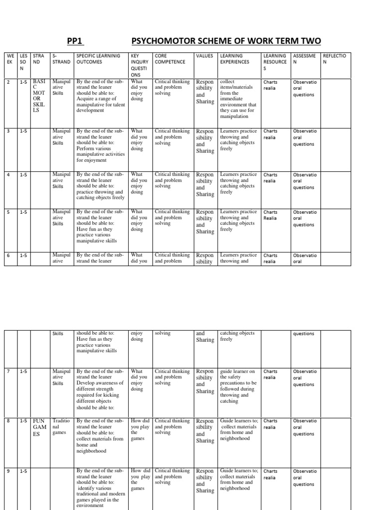 Psychomotor Skills Pp1 Term 2 | PDF | Critical Thinking | Learning