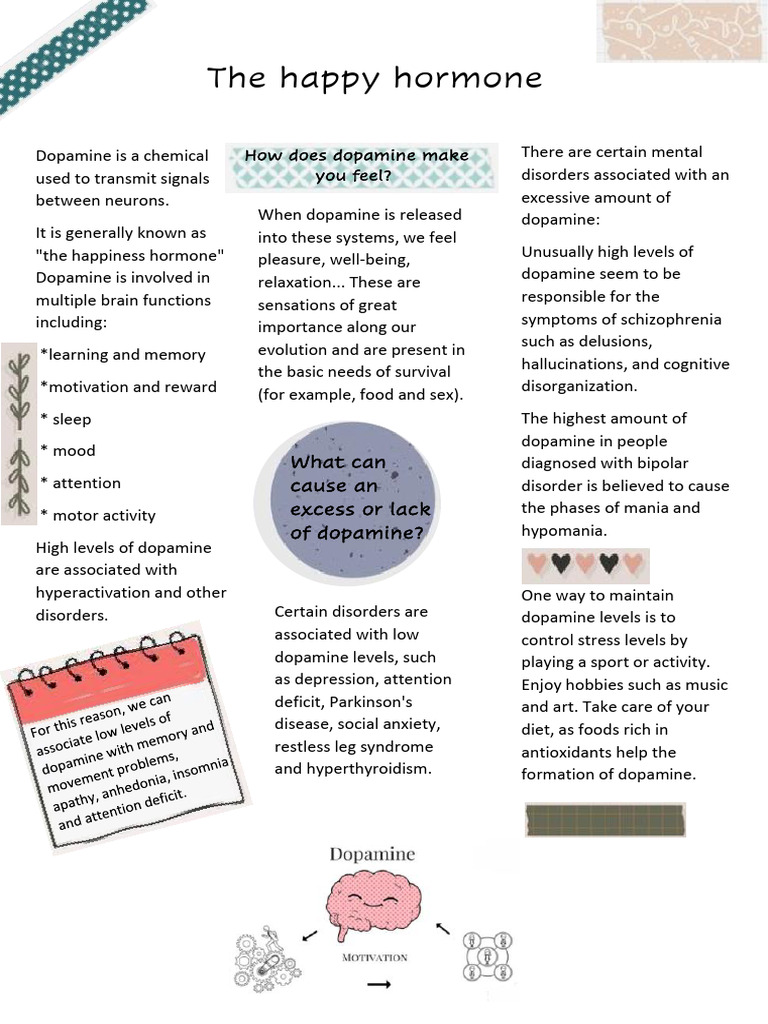 Dopamine: Functions, Effects, and Disorders | PDF