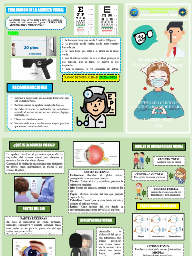 Evaluación de Agudeza Visual en Salud Ocular | PDF | Ojo humano | Visión