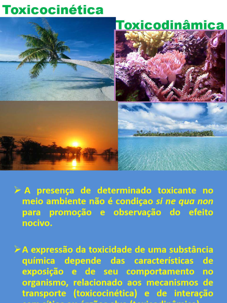 Toxicodinâmica e Toxicocinética A | PDF | Química | Organismos