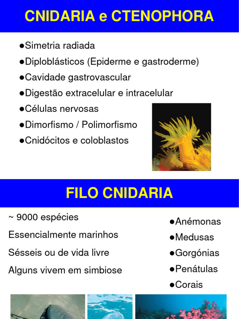 5 - Cnidaria Ctenophora | PDF | Animais aquáticos | Animais peçonhentos