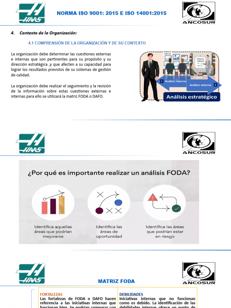 CONTEXTO DE LA ORGANIZACION-FODA, ANALISIS INTERNO Y EXTERNO-ANCOSUR | Descargar gratis PDF ...