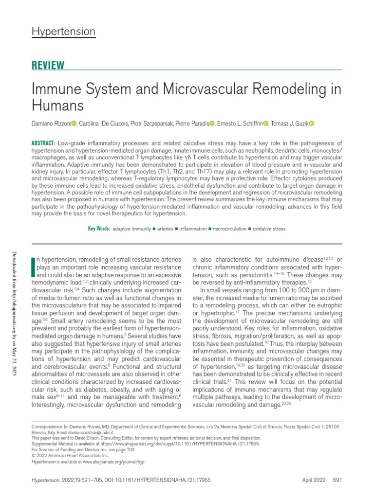 Immune System and Microvascular Remodeling in - HYPERTENSIONAHA.121. ...