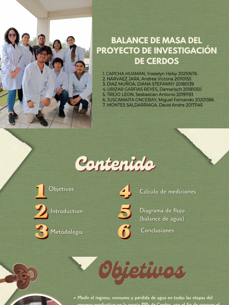 Porcinos Balance Masa | PDF | Agua | Cerdo