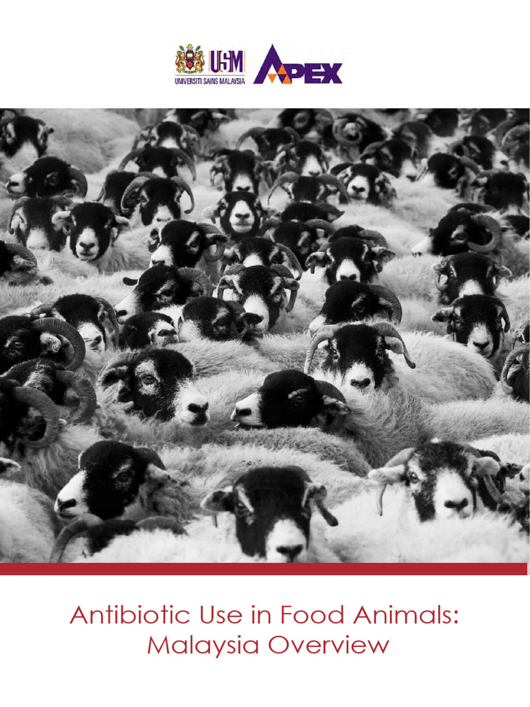 Antibiotic Use in Food Animals Malaysia Overview 2018web | PDF ...