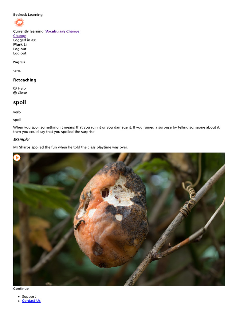 Digital Literacy Curriculum _ Bedrock Learning | PDF