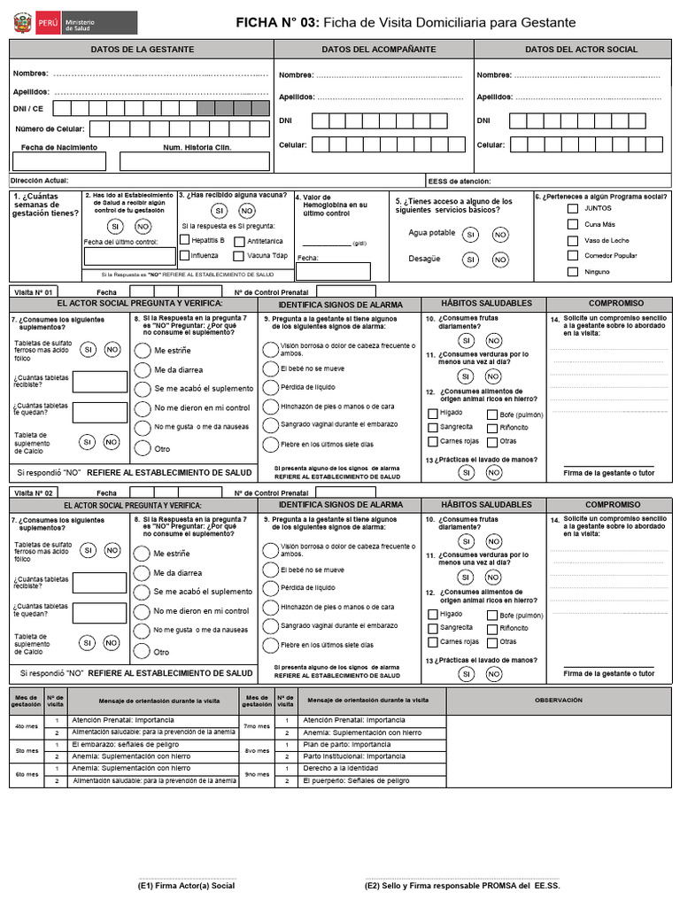 Ficha 3 - VD a Gestantes (Edición 2024) | PDF | El embarazo | Medicina ...