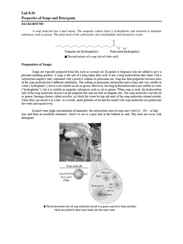 Lab 8.1b Properties of Soaps and Detergents | PDF | Detergent | Soap