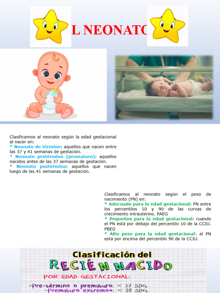 El Neonato | PDF | Feto | Sistema circulatorio