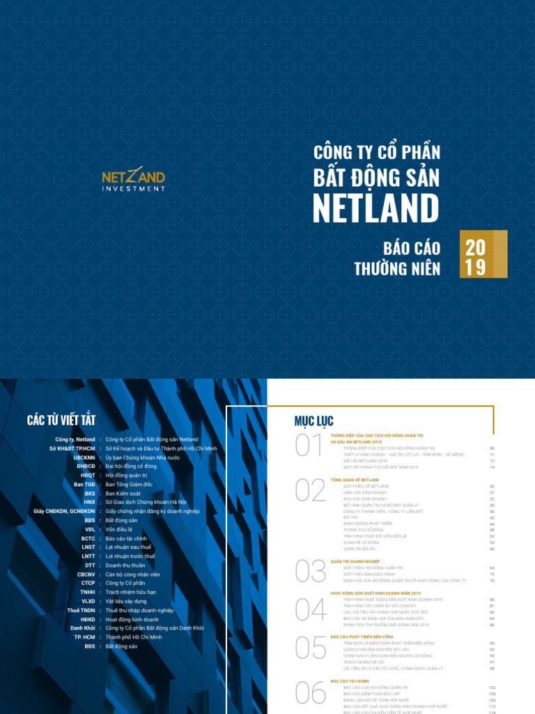 Annual Report Netland 2019 - Final - 080420 | PDF