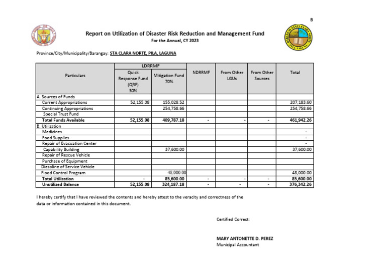 2023 Annual Bdrrm-Utilization-Report | PDF | Natural Events | Disasters