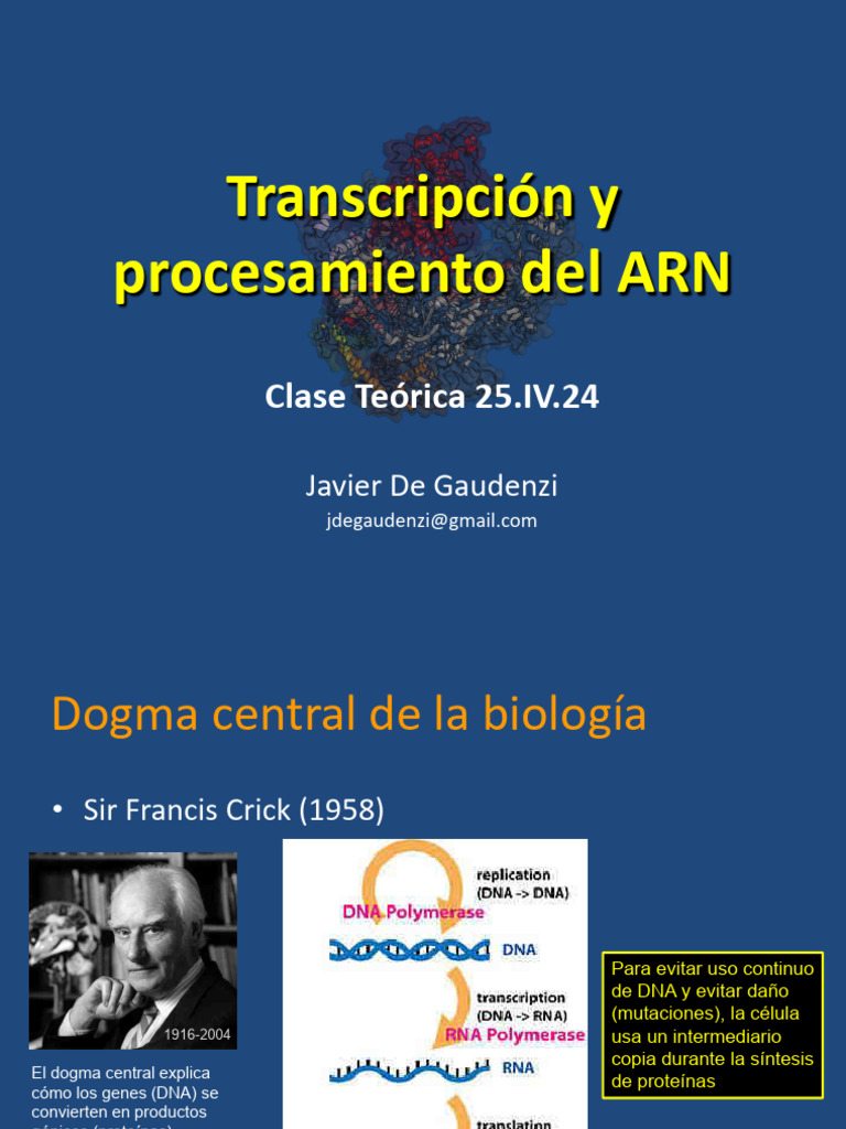 Transcripción 25 Abr 2024 | PDF | Rna Splicing | Rna