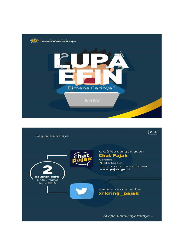 Tutorial Lupa EFIN | PDF