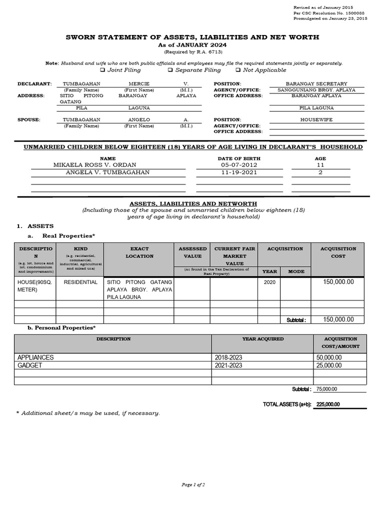 SALN A4 Size | PDF | Net Worth | Financial Accounting