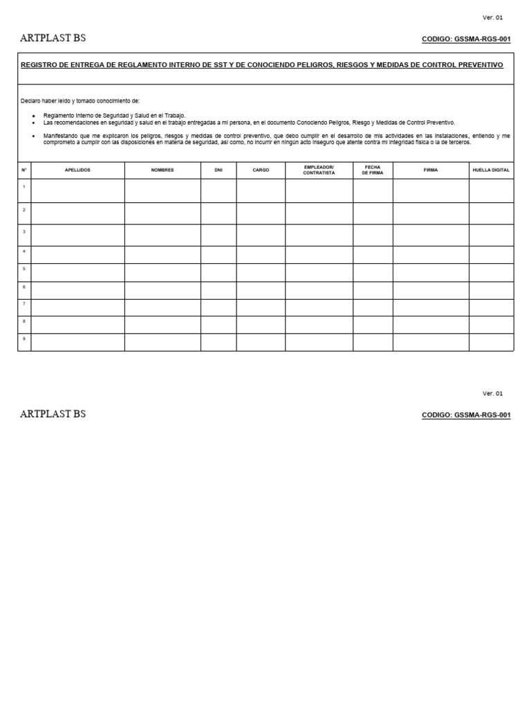 Registro de Entrega de RISST y de Conociendo | PDF