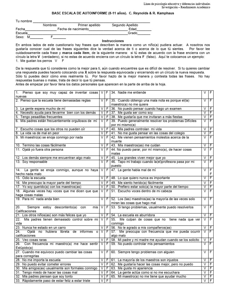 Basc Auto Informe 8 11 | PDF