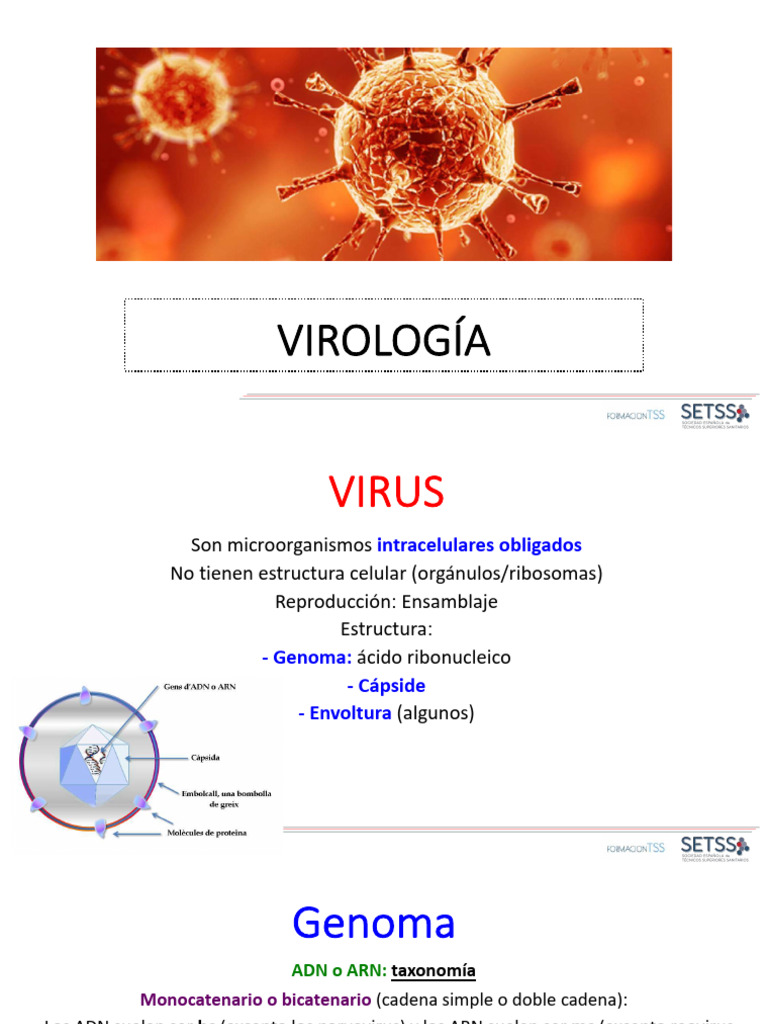 Virus Compressed | PDF | Virus | VIH