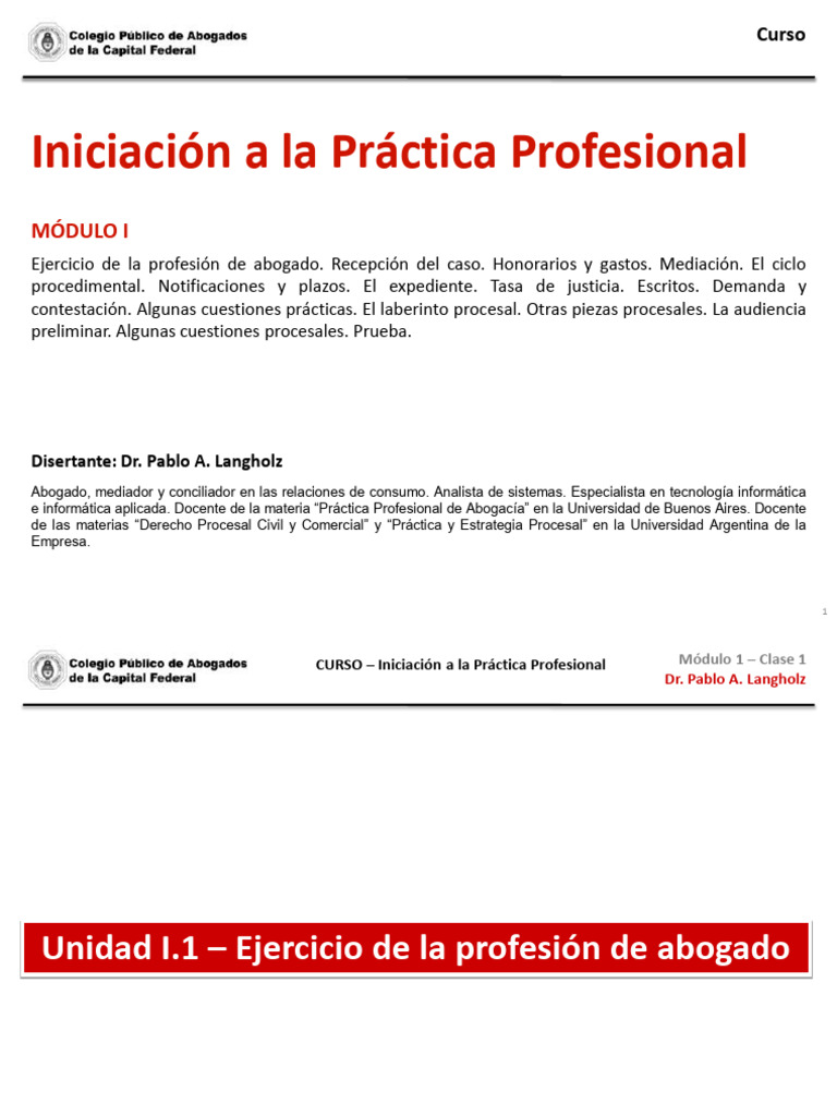CIP - Módulo 1 - Clase 1 | PDF | Abogado | Estatuto de limitaciones