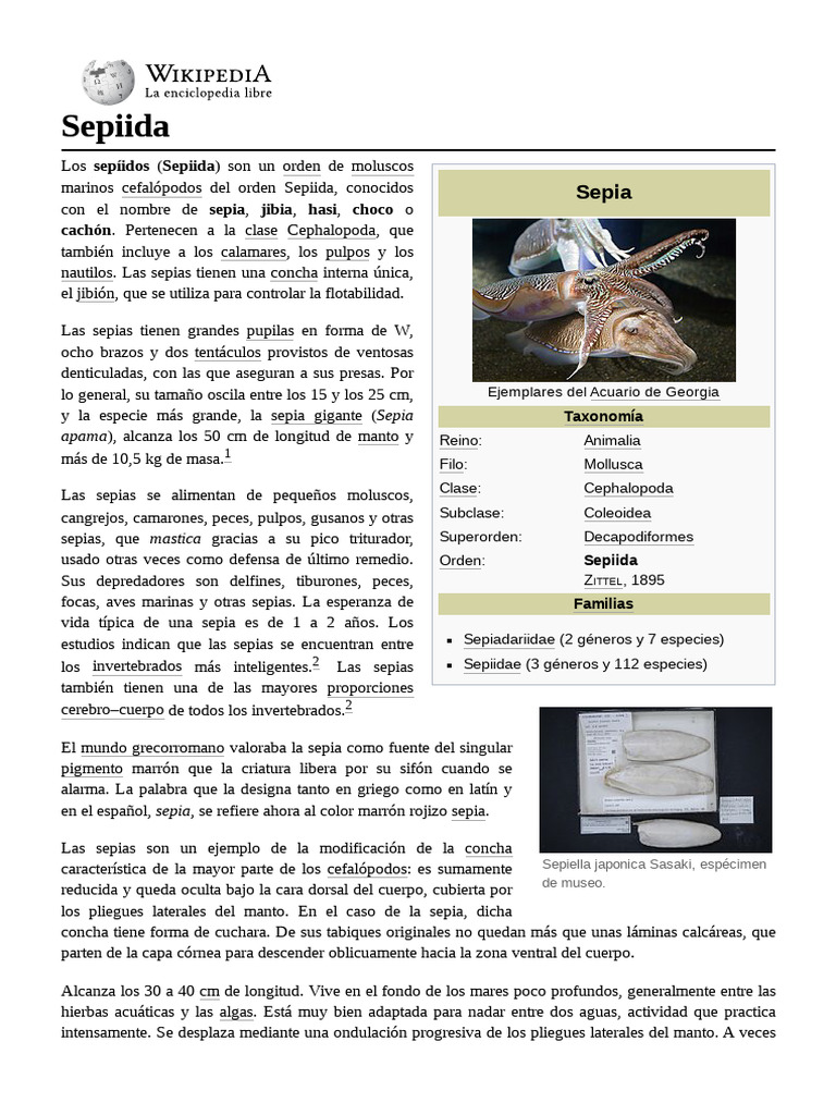 Sepiida | PDF | Ciencia y matemáticas