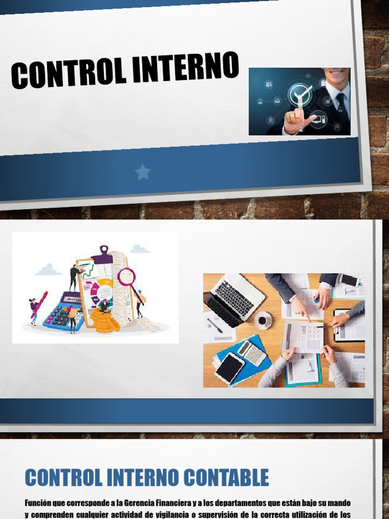 Control Interno CLASE 17-06-24 | PDF