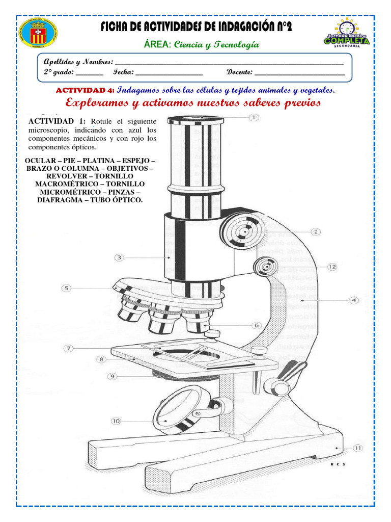 FICHA DE ACTIVIDADES N°02 (1) | PDF | Microscopio | Óptica