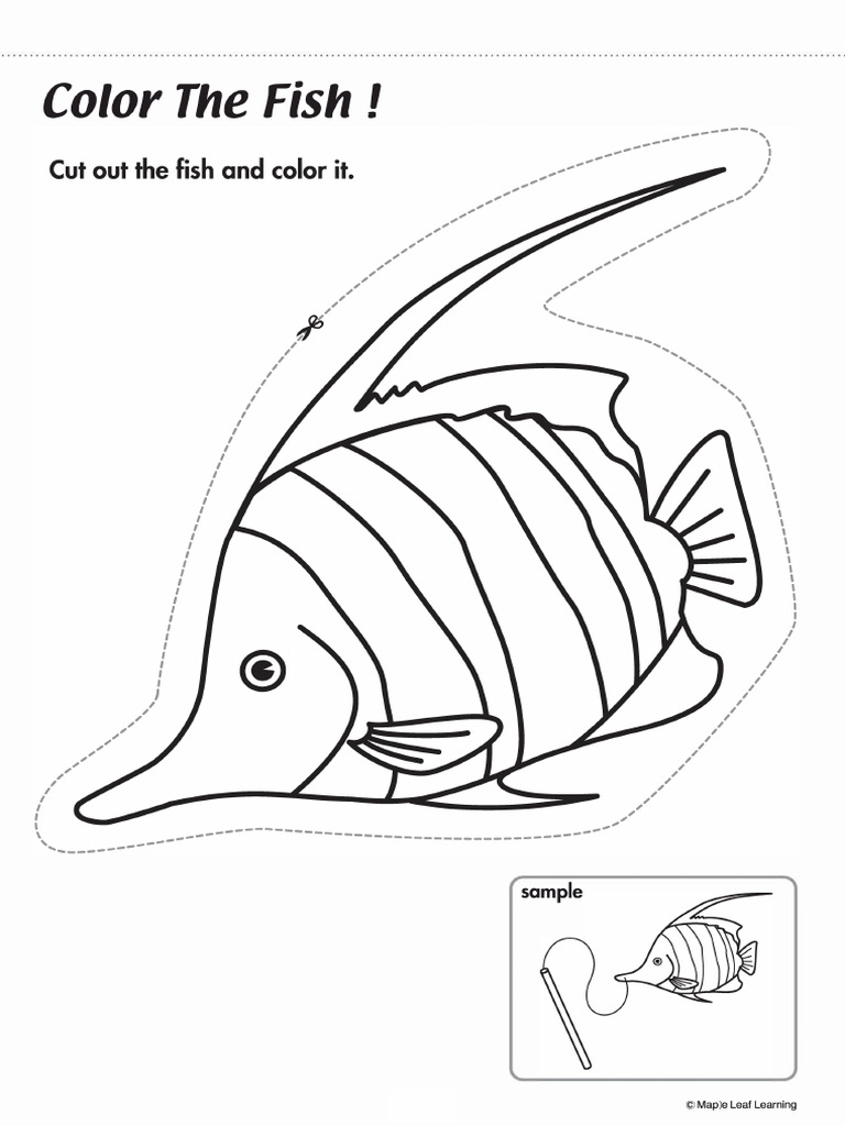 Color The Fish Activity | PDF