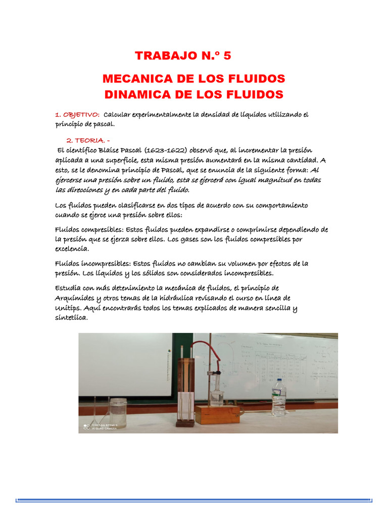 Lab 5 Anahi | PDF | Fluido | Gases
