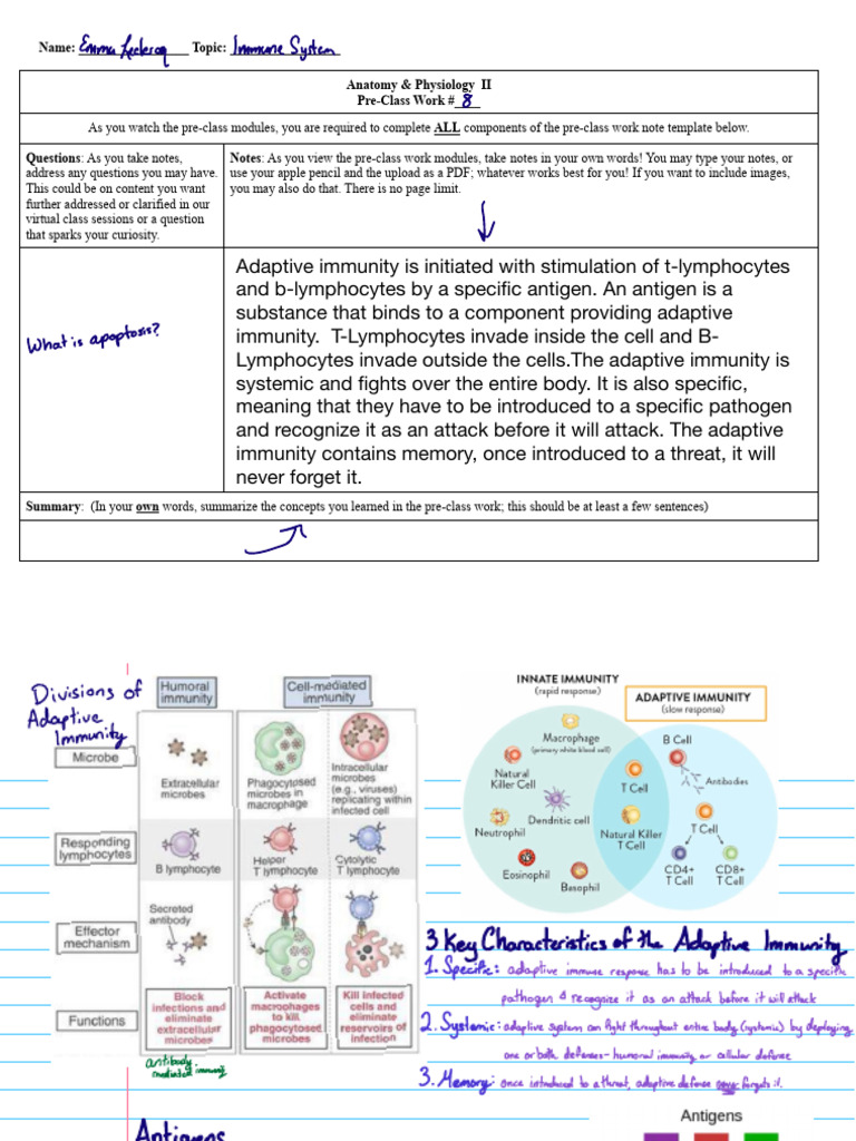 AP 2 PCW #8 - Immune - Modules 4 & 5 | PDF | Lymphocyte | Adaptive ...