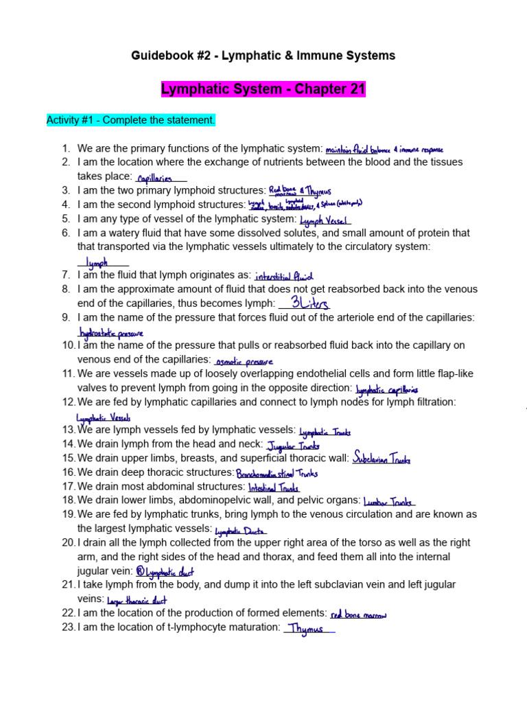 Guidebook #2 - Immune System | PDF | Lymphatic System | Lymph