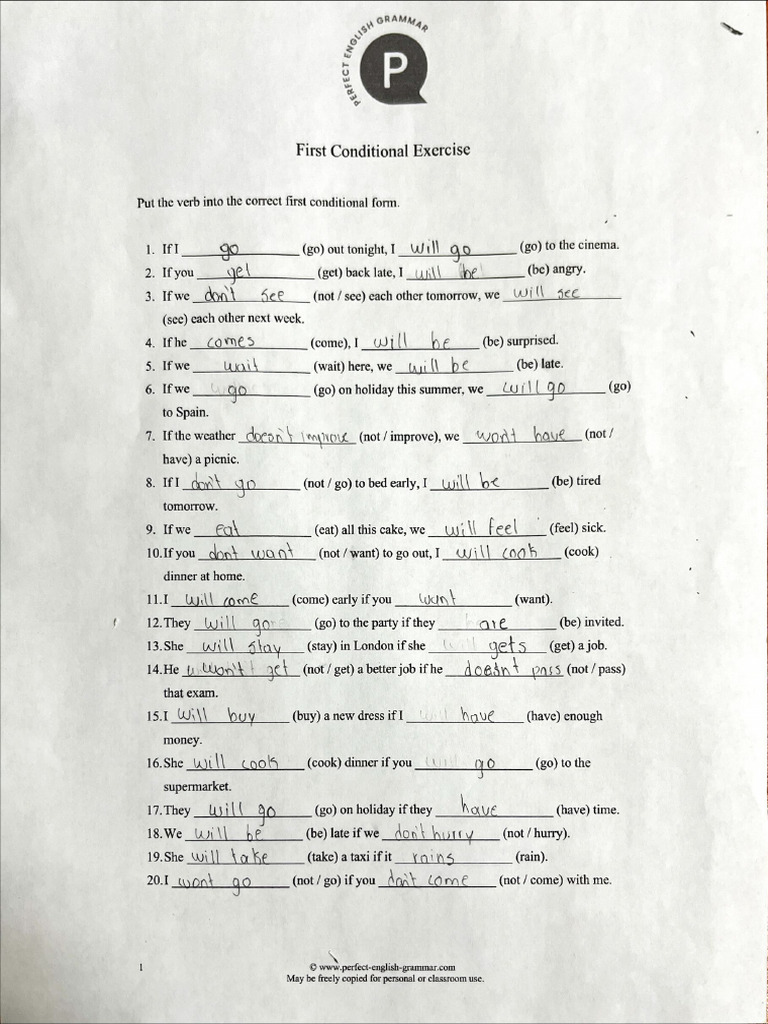 First conditional Exercise(1) | PDF