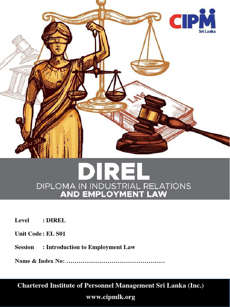 Introduction to Employment Law Overview | PDF | International Labour ...