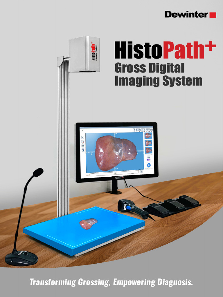 Histopath Catalog | PDF | Pathology | Image Resolution