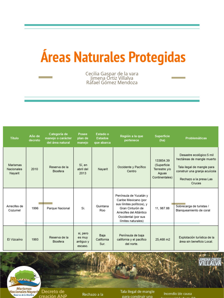 Mapa Ambiental | Descargar gratis PDF | Ecología | Entorno natural
