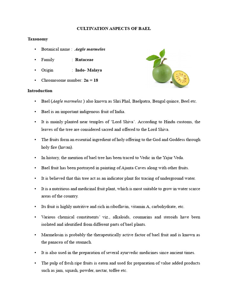 Bael | PDF | Seed | Trees