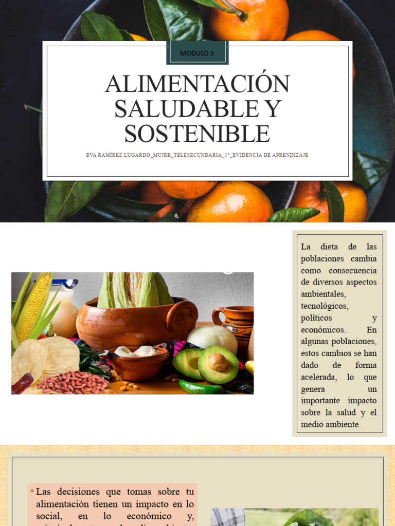 Alimentación Saludable y Sostenible | PDF | Alimentos | Dieta