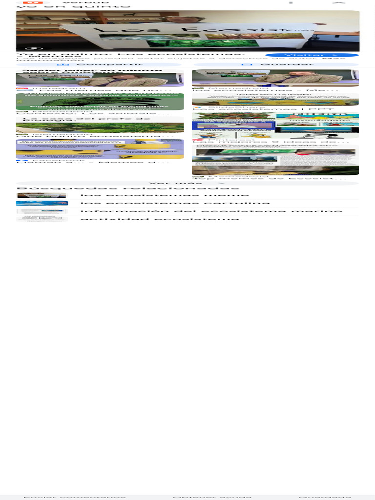 Cartulina de Ecosistemas Meme - Buscar Con Google | PDF