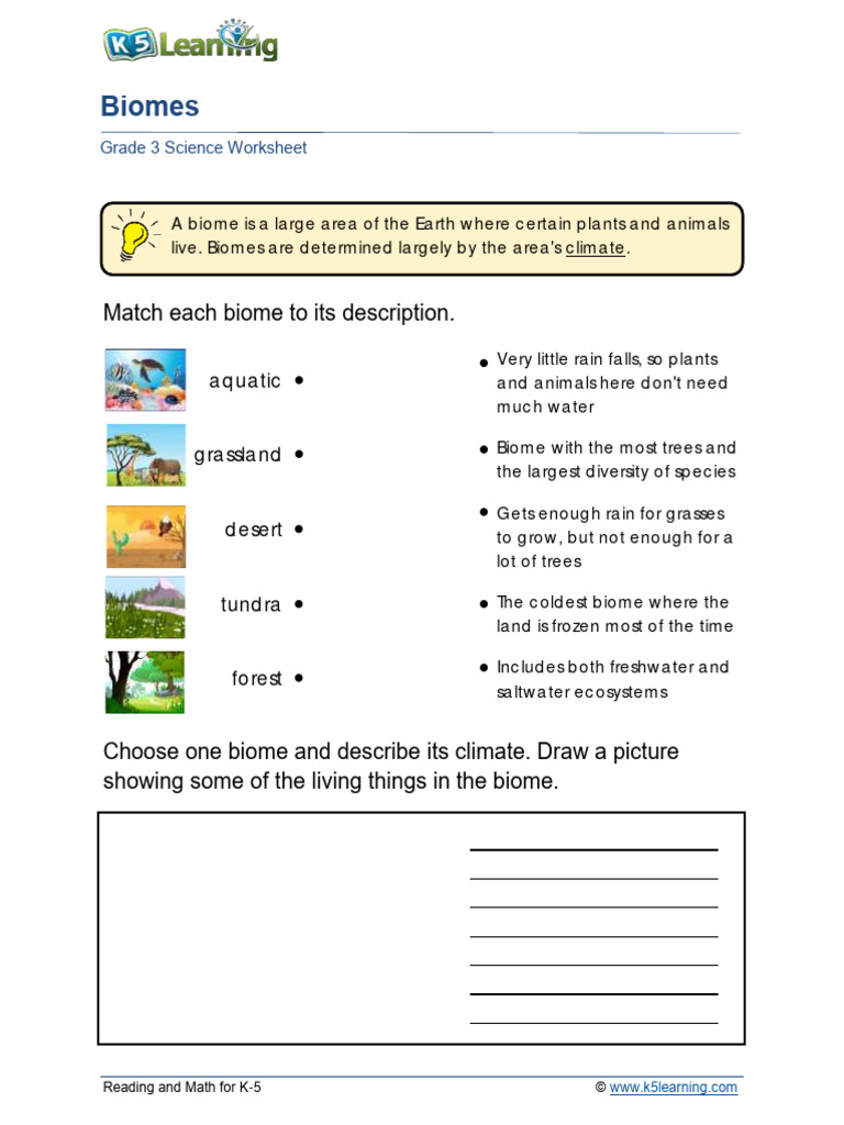 Understanding Biomes for Grade 3 | PDF
