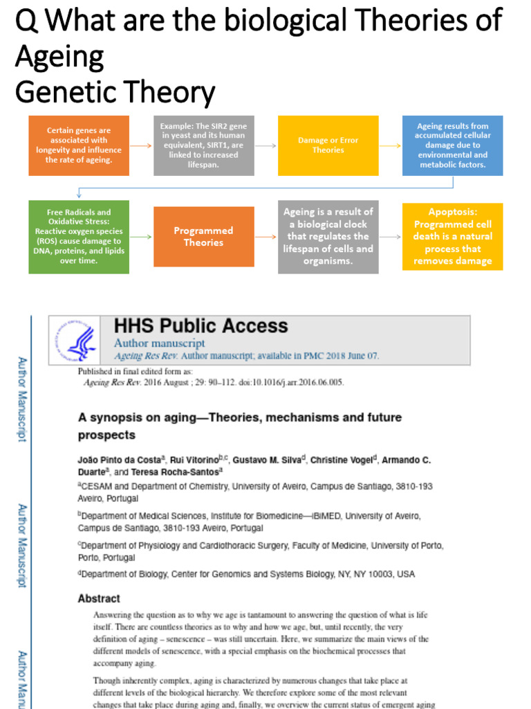 11-Q What Are The Biological Theories | PDF | Reactive Oxygen Species ...