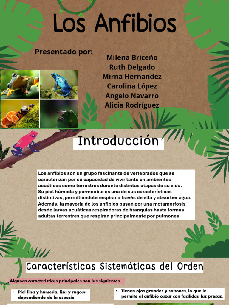 Anfibios Presentación-Term | PDF | Anfibio | Rana