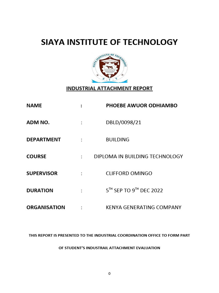 BUILDING SAMPLE REPORT | PDF | Masonry | Concrete