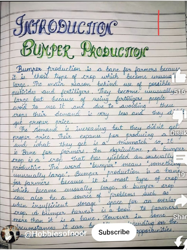 Economic Bumper Production | PDF