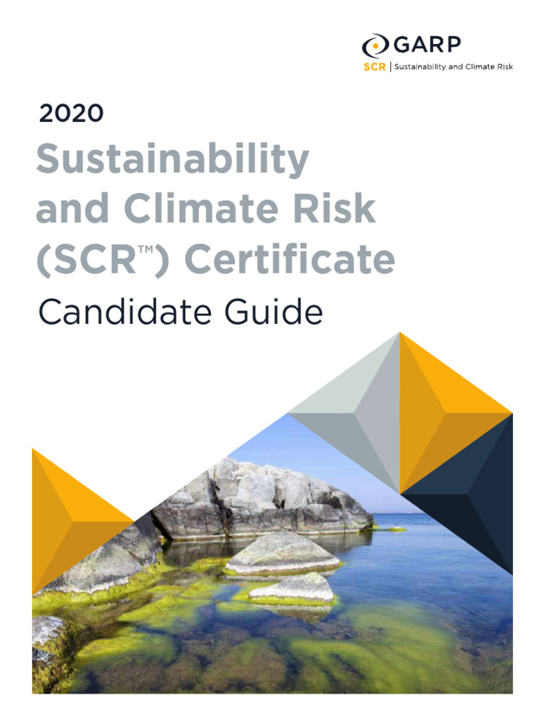 2020 SCR CandidateGuide 062920-2 | PDF