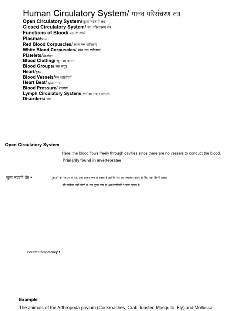 Circulatory Master File | PDF