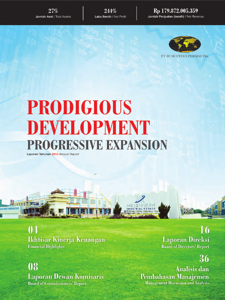 Bcip - Ar 2013 | PDF | Income | Expense