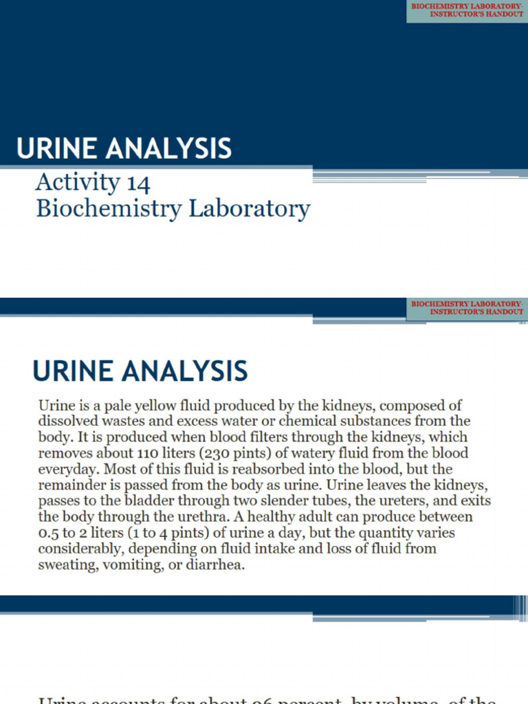 Activity 14 Urinalysis | PDF