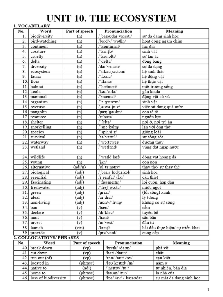 UNIT 10 E11 10 Trang | PDF